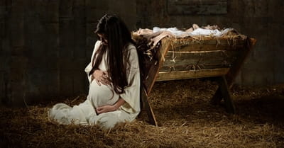 Genesis 3 - NIV Bible - Now the serpent was more crafty than any of the...