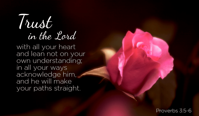 22 Top Bible Verses About Understanding Encouraging Scripture