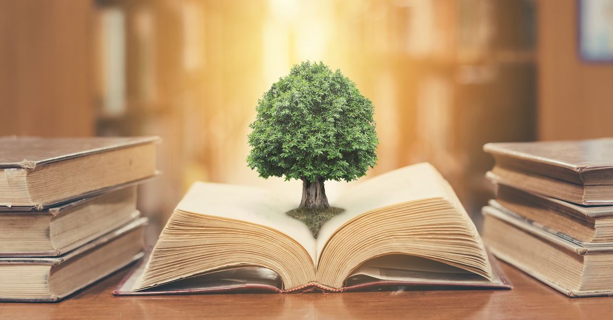 The True Meaning Of Wisdom What It Is And How To Get It The True Meaning Of Wisdom What It Is And How To Get It