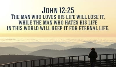 John 12:25 - Anyone who loves their life will lose it, while...