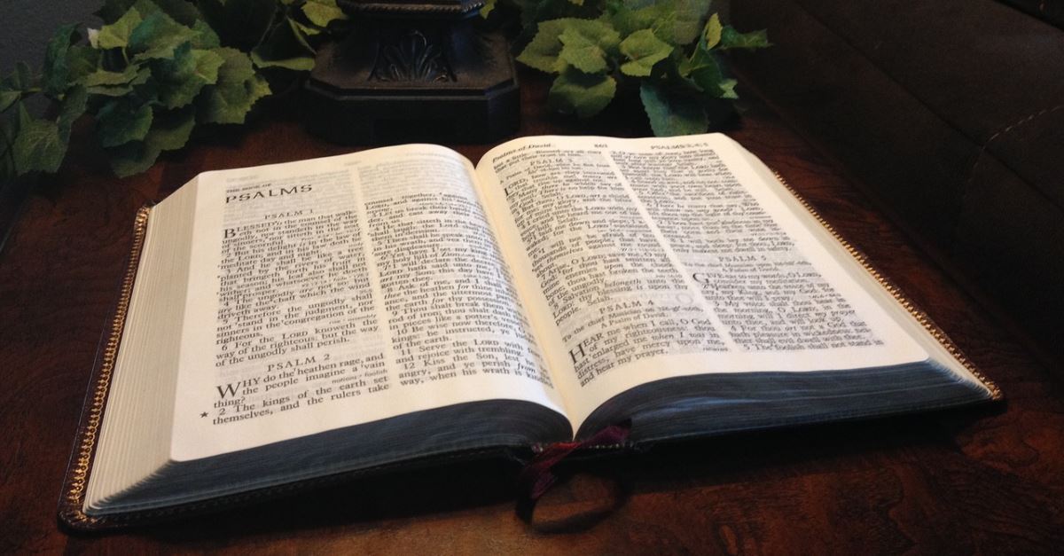 This Is The Day The Lord Has Made The Meaning Of Psalm 118 24