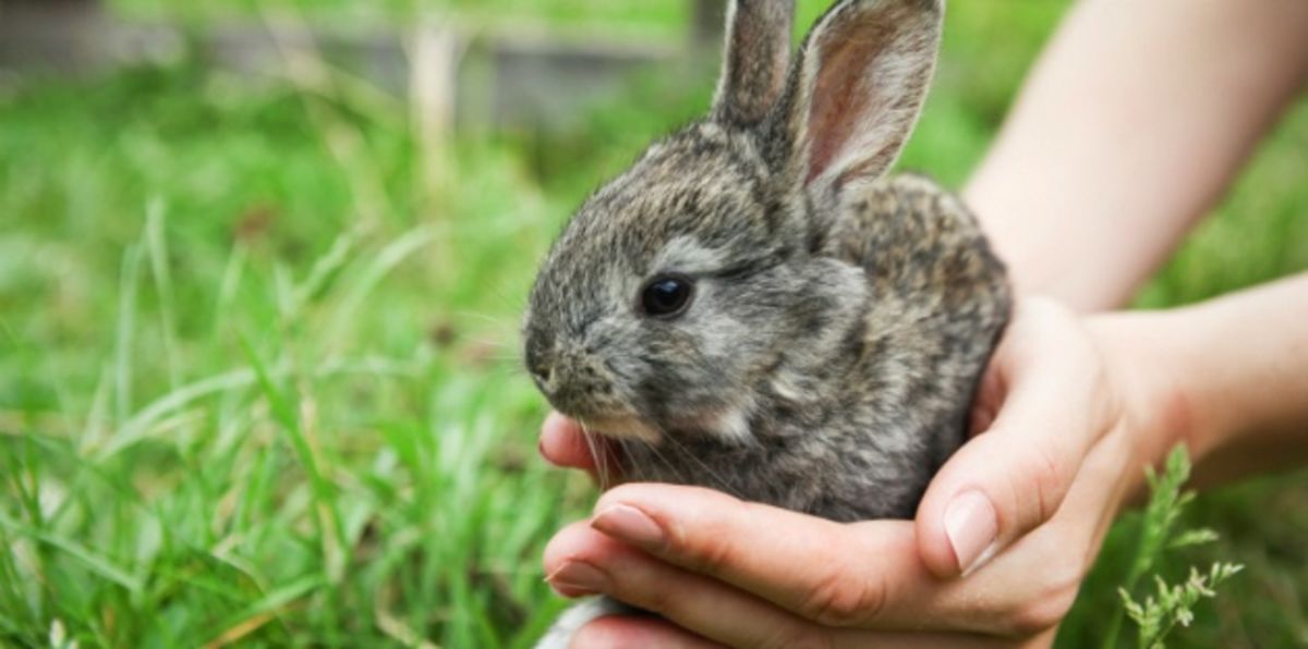 When God Honors Obedience | iBelieve.com