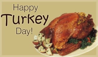 Happy Turkey Day! eCard - Free Thanksgiving Cards Online