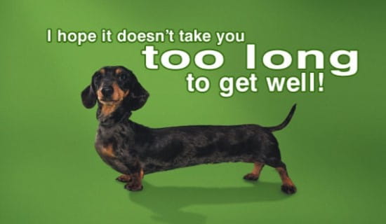 Free Get Well Ecard Email Free Personalized Get Well Cards Online