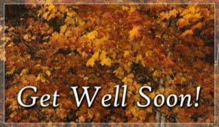 Free Get Well Soon! eCard - eMail Free Personalized Get Well Cards Online