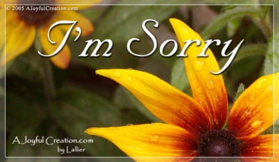 I'm Sorry eCard - Free A Joyful Creation Greeting Cards Online
