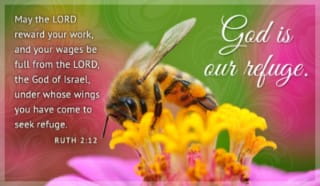 Ruth 2:12 - May the LORD repay you for what you have done.