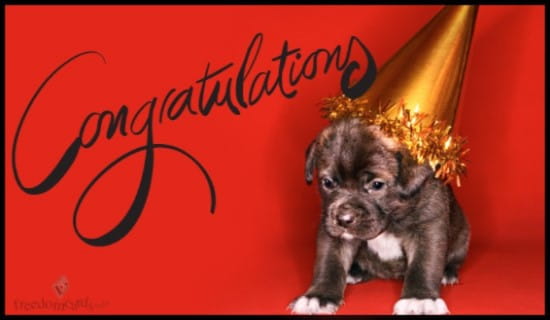 Free Congratulations, Puppy eCard - eMail Free Personalized Celebrations & Events Cards Online
