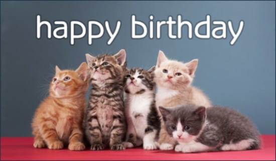 Free Birthday Kittens ECard EMail Free Personalized Birthday Cards Online