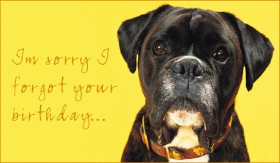 Free I'm Sorry I Forgot eCard - eMail Free Personalized Birthday Cards ...