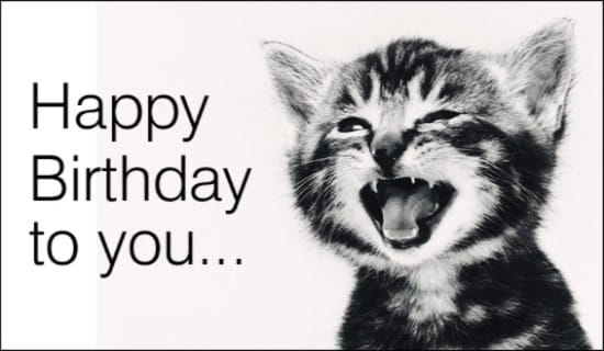 Free Singing Cat ECard EMail Free Personalized Birthday Cards Online