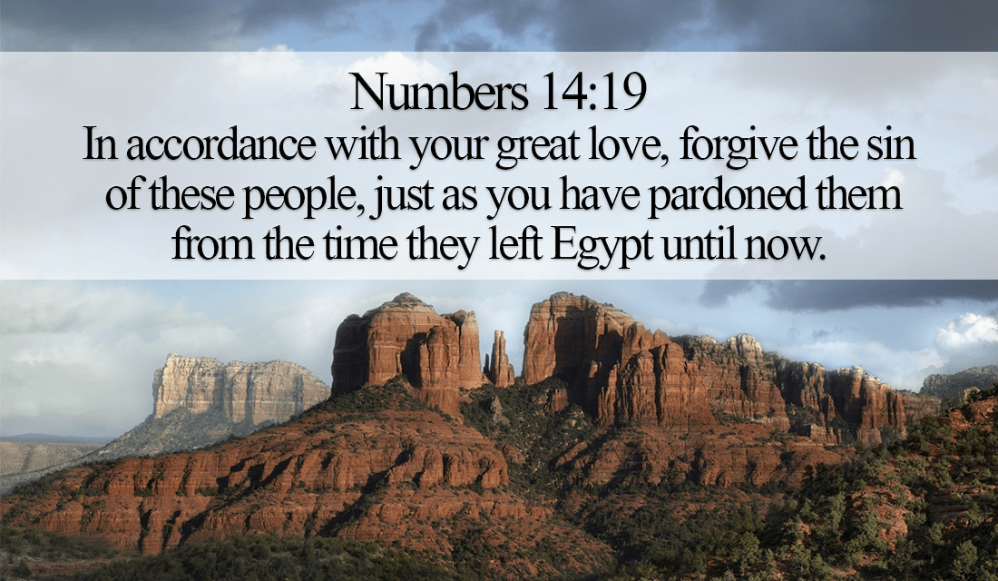 God has pardoned many people, learn from Him! - Numbers 14:19 eCard ...