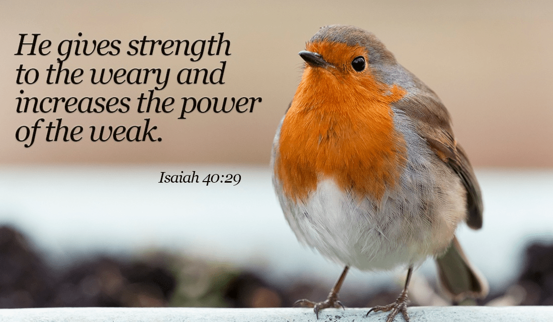 He WILL Make You Strong Believe In Him Isaiah 40 29 ECard Free