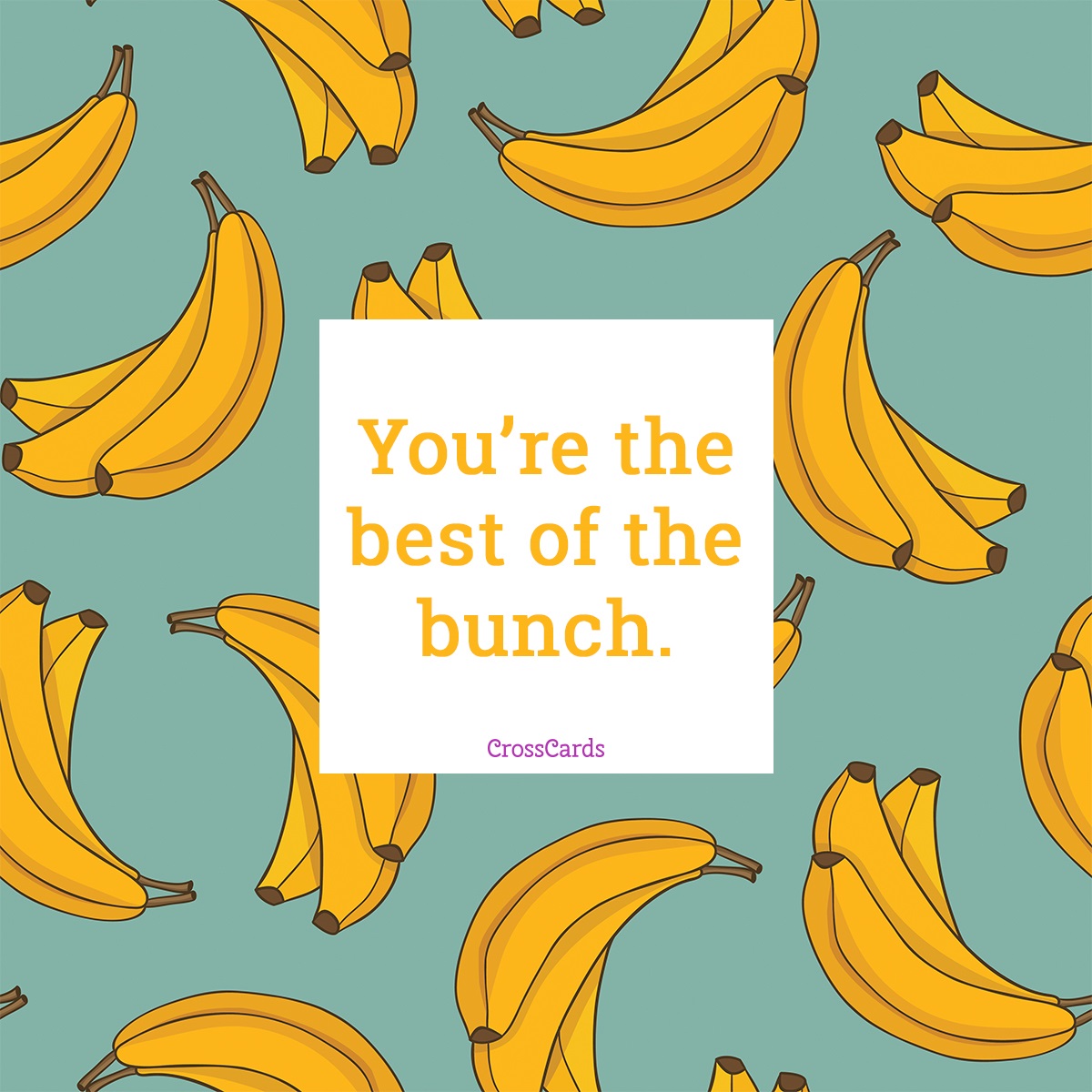 Free Best of the Bunch eCard - eMail Free Personalized Just For Fun ...