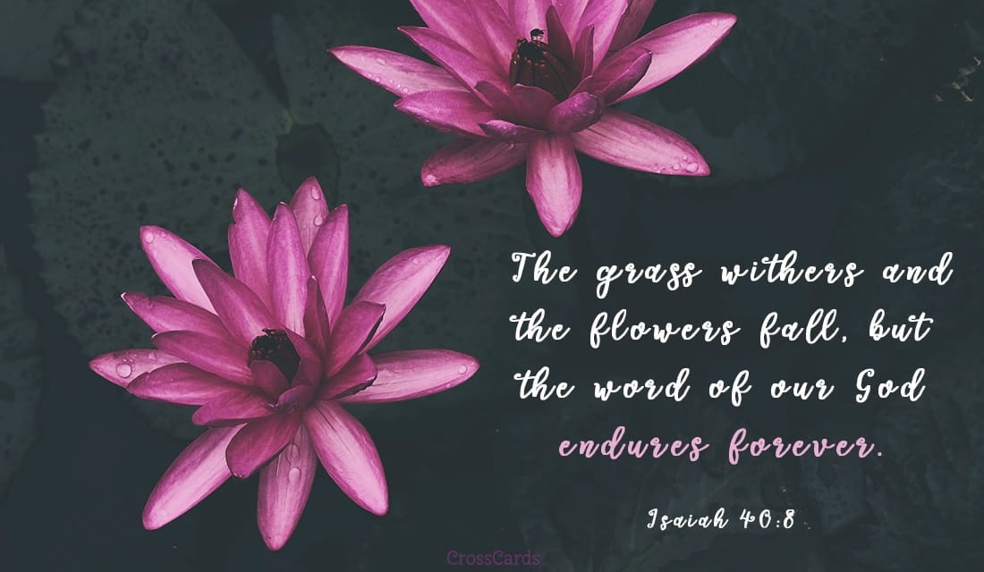 Isaiah 40 8 Inspirations