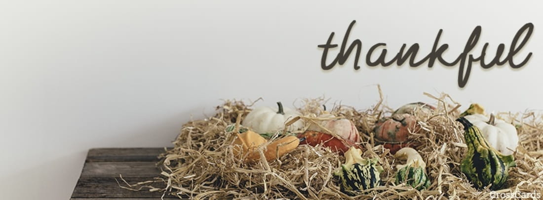 Beautiful Thanksgiving Desktop & Mobile Wallpaper - Free Backgrounds