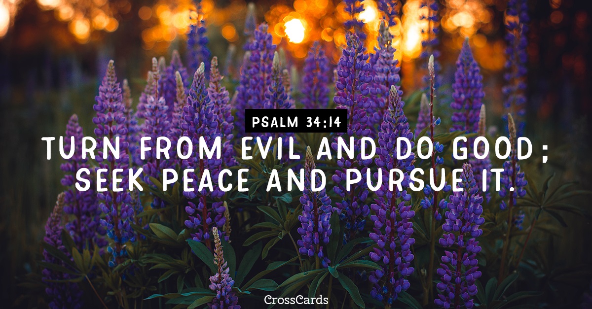 Free Psalm 34 14 ECard EMail Free Personalized Wisdom Online free-psalm-34-14-ecard-email-free-personalized-wisdom-online