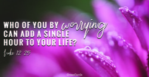 Luke 12 - NIV Bible - Meanwhile, when a crowd of many thousands had...