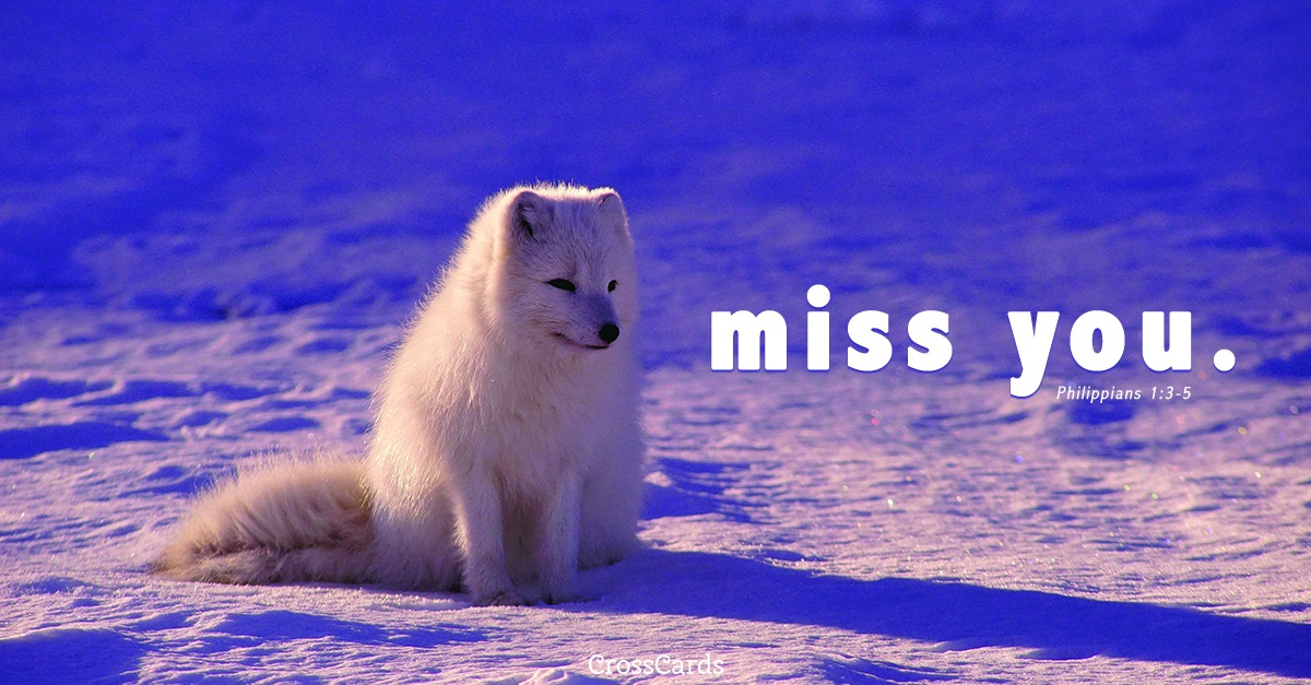 Free Miss You eCard - eMail Free Personalized Animals Cards Online