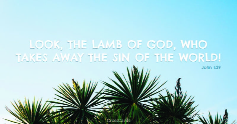 John 1 - NIV Bible - In the beginning was the Word, and the Word was...