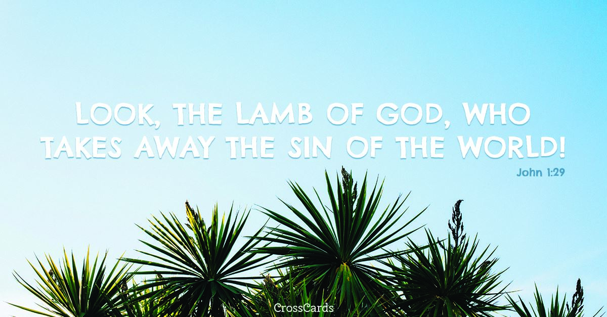 Free John 1:29 eCard - eMail Free Personalized Praise Online