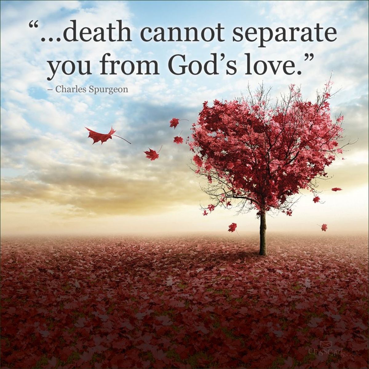 Death Cannot Separate Us from God's Love - Your Daily Verse | iBelieve.com