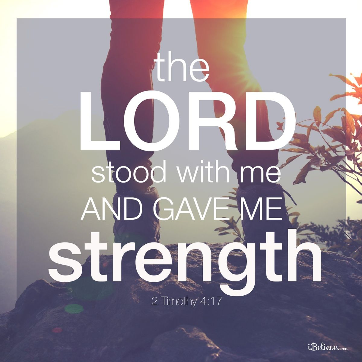 The Lord Stood With Me and Gave Me Strength - Your Daily Verse ...