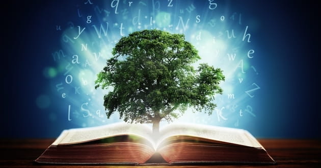 Does God Use Evolution as a Process to Create Living Things ...