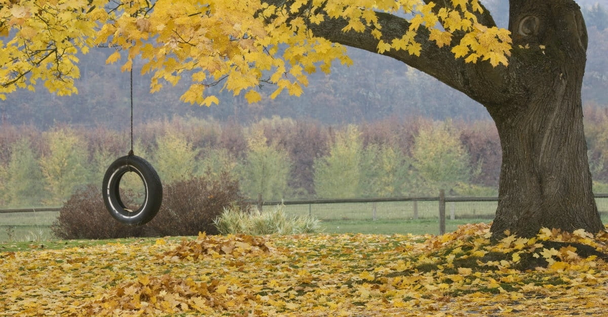 10 Fall Outdoor Activities to Grow Closer to God and Each Other ...