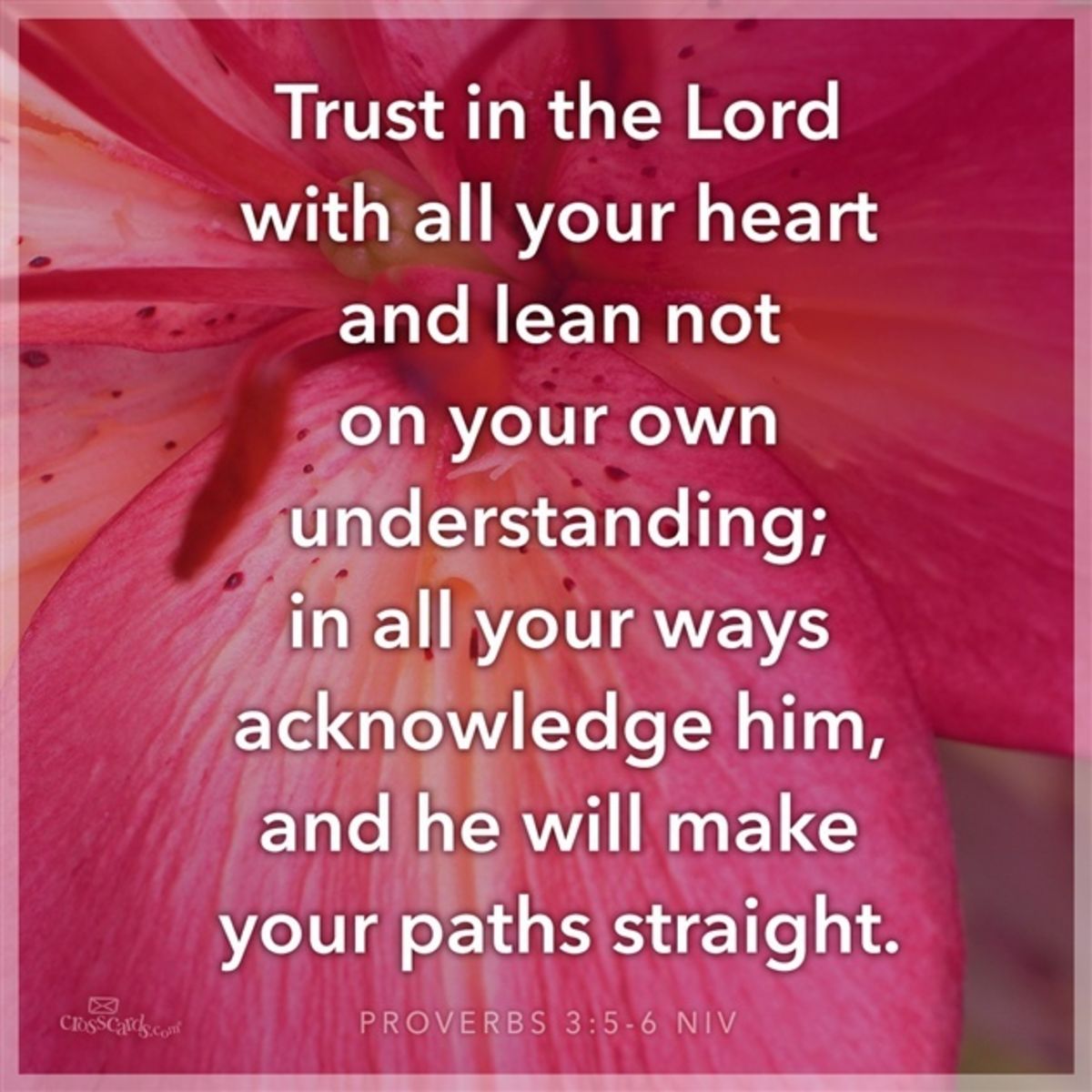 Trust in the Lord with All Your Heart - Your Daily Verse | iBelieve.com