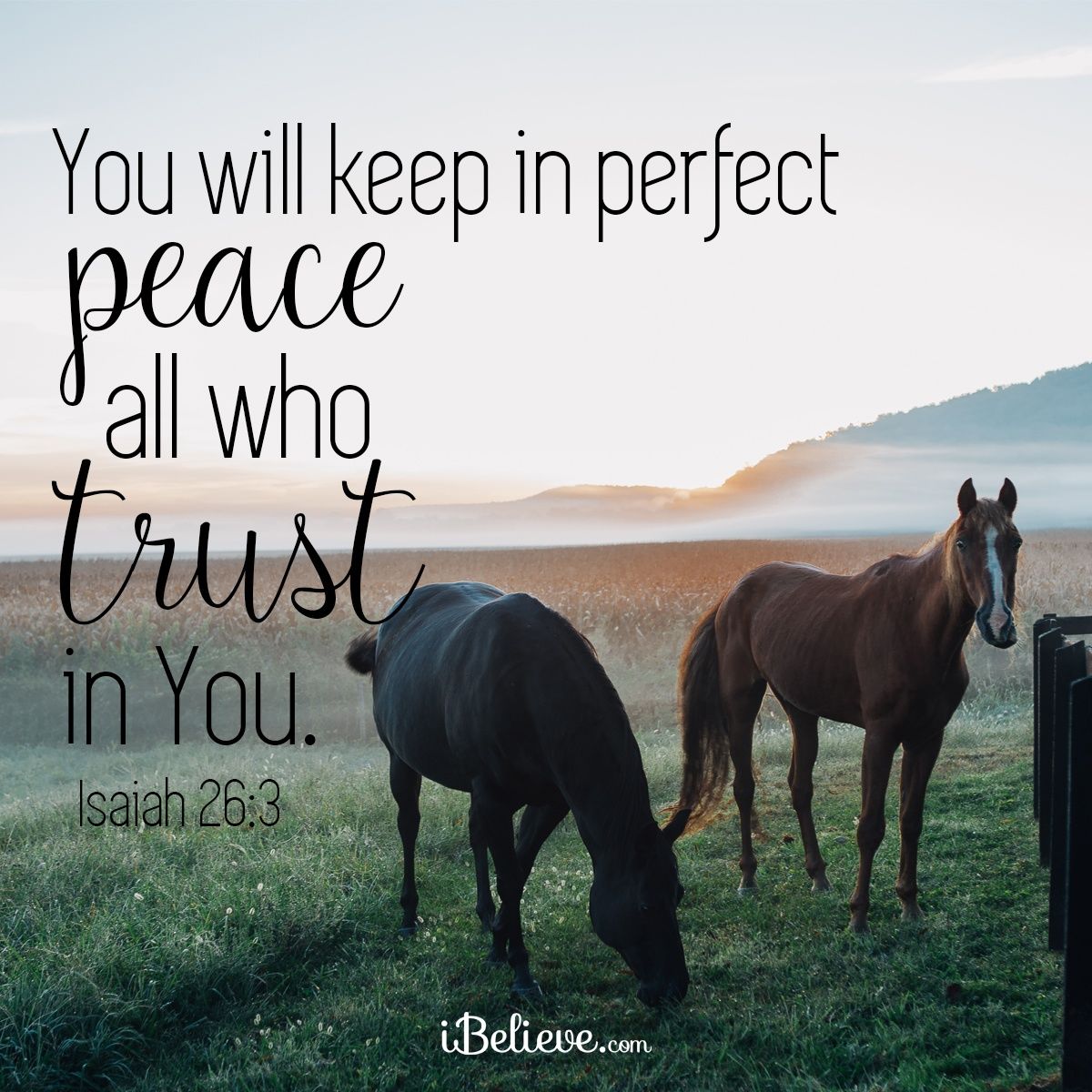 You Will Keep in Perfect Peace All Who Trust in You - Your Daily Verse ...
