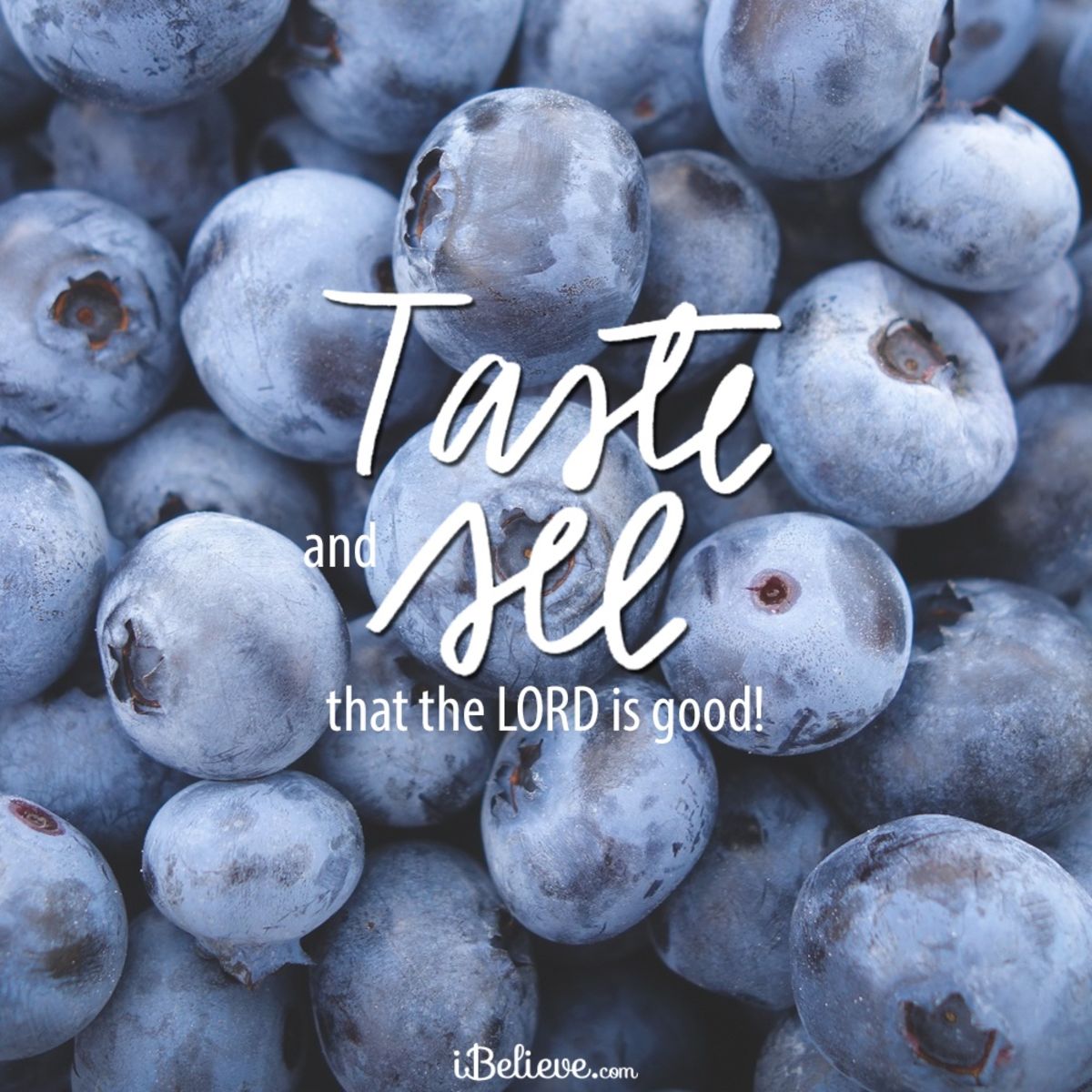 Your Daily Verse - Psalm 34:8 - Your Daily Verse | iBelieve.com