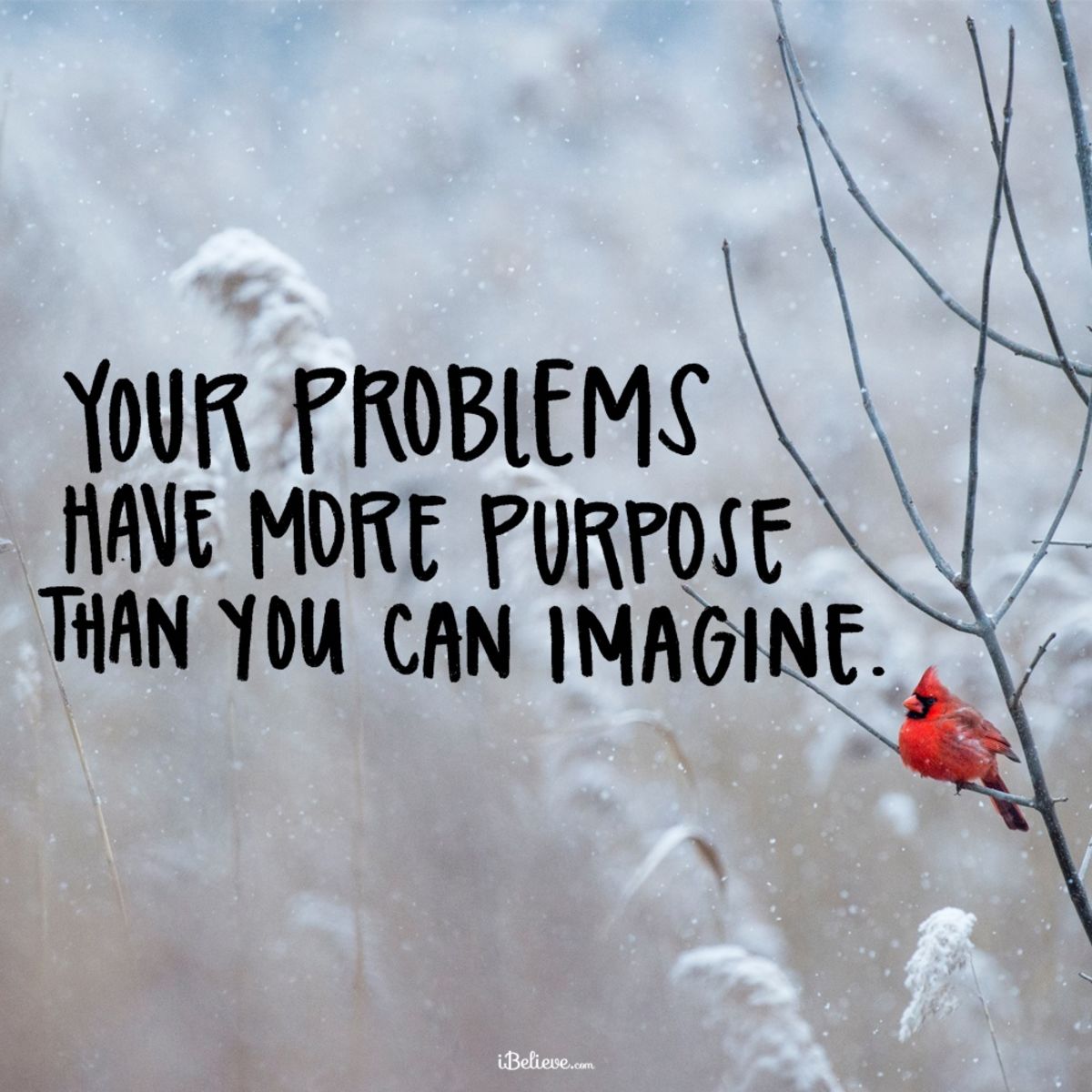Your Problems Have More Purpose than You Can Imagine - Your Daily Verse ...
