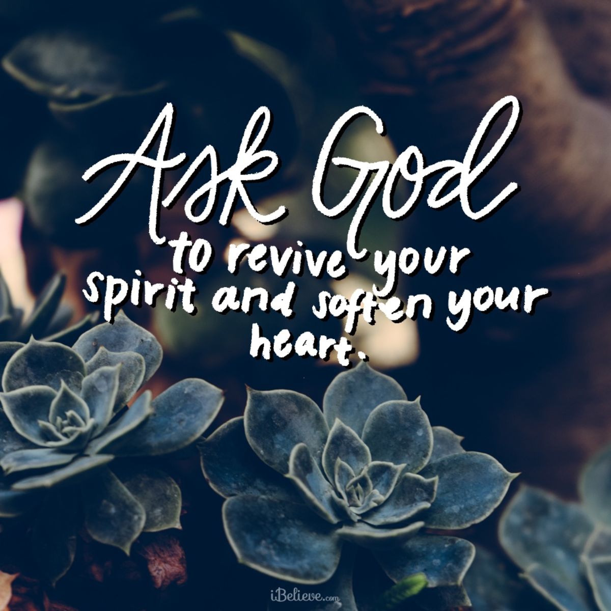 Ask God to Revive Your Spirit and Soften Your Heart - Your Daily Verse ...