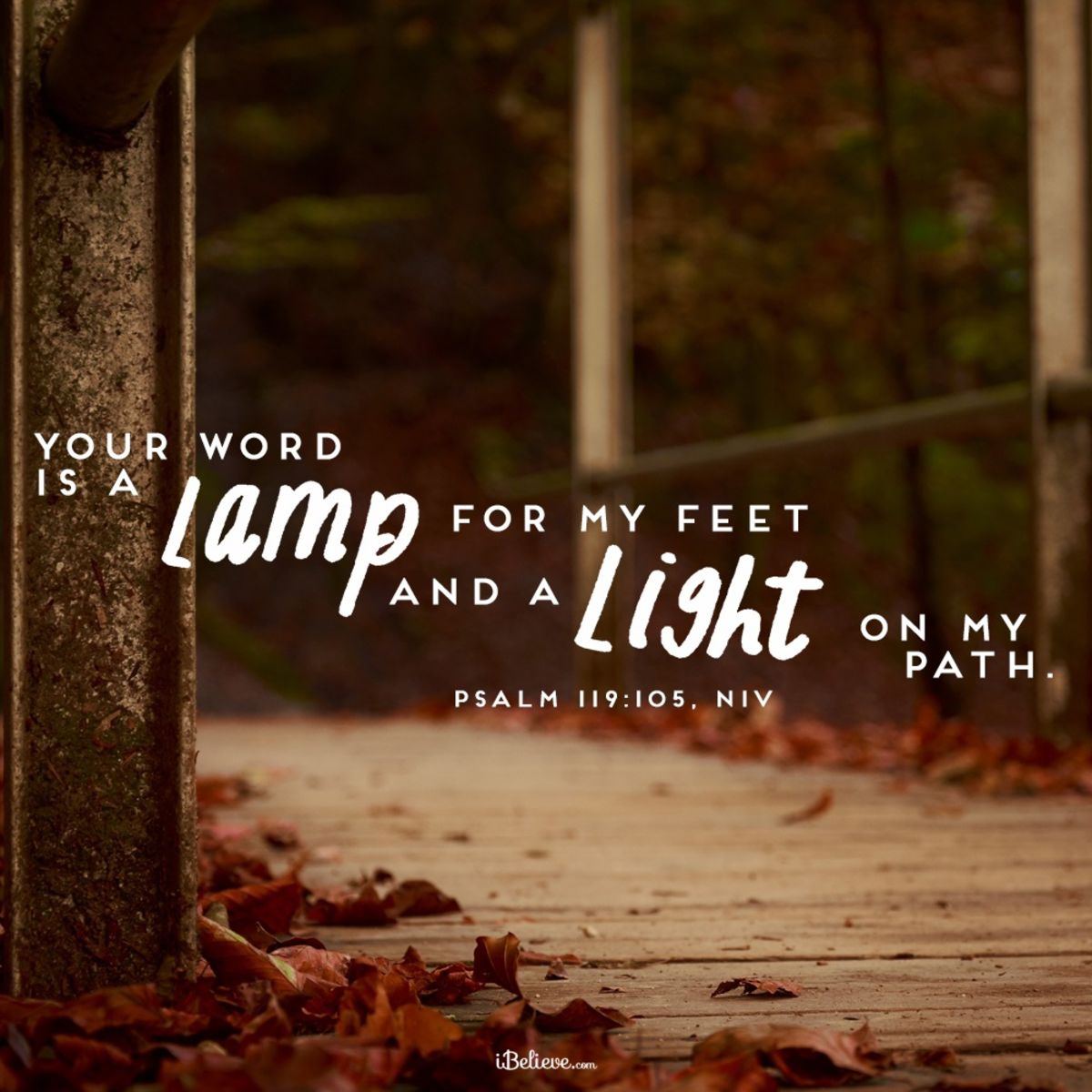 Your Word is a Lamp for My Feet - Your Daily Verse | iBelieve.com