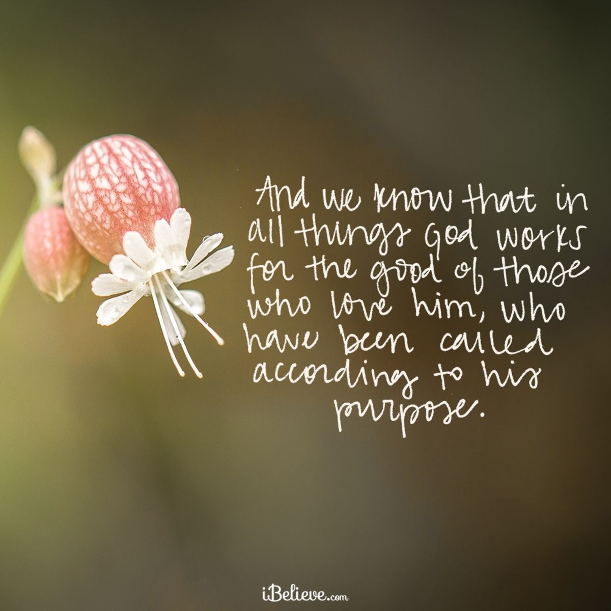 In All Things God Works for the Good of Those Who Love Him - Your Daily ...