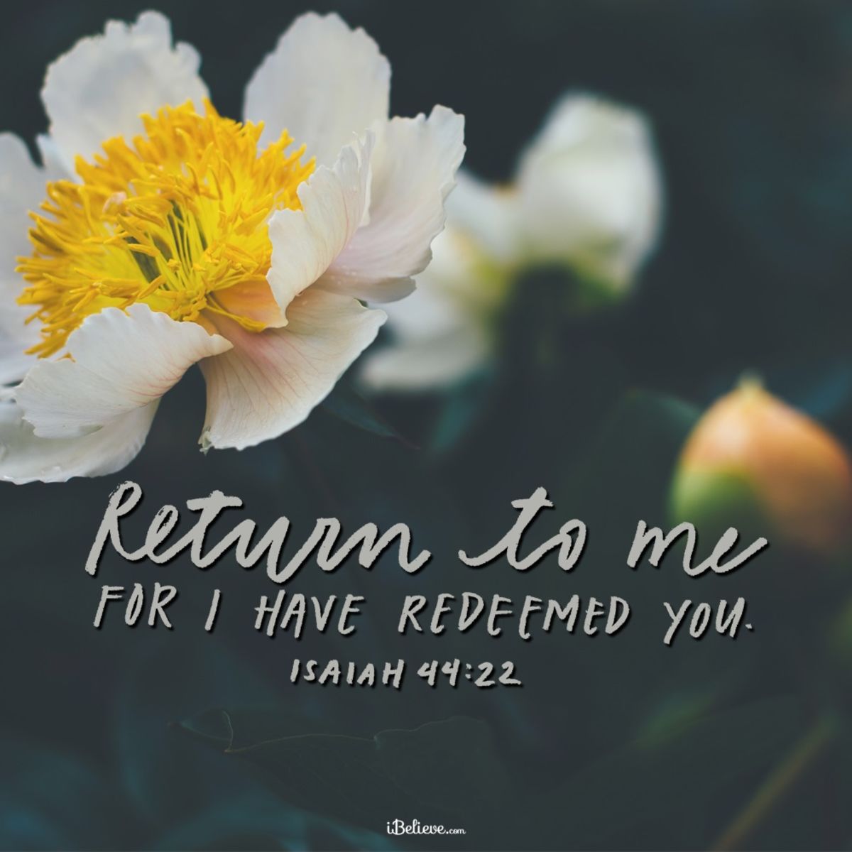 Return to Me, for I Have Redeemed You - Your Daily Verse | iBelieve.com