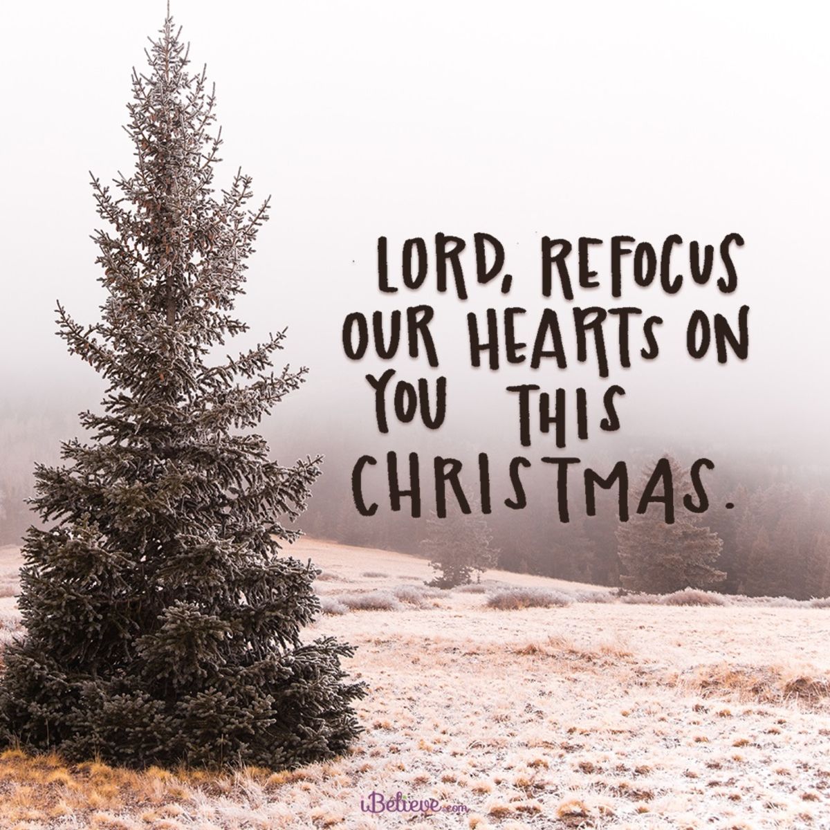 Lord, Refocus Our Hearts on You This Christmas - Your Daily Verse ...