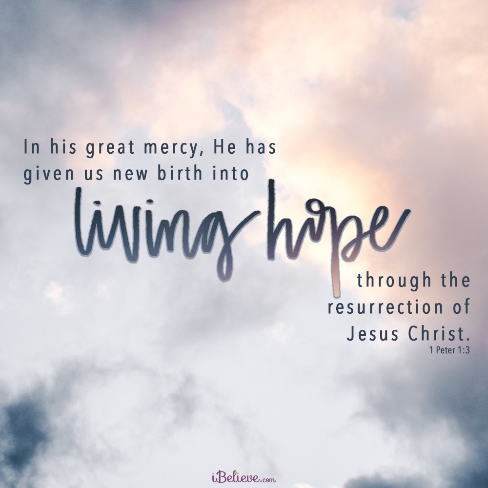 Your Daily Verse 1 Peter 1 3