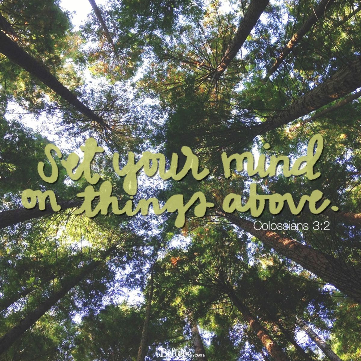 Your Daily Verse - Colossians 3:2 - Inspirations | Bible Study Tools