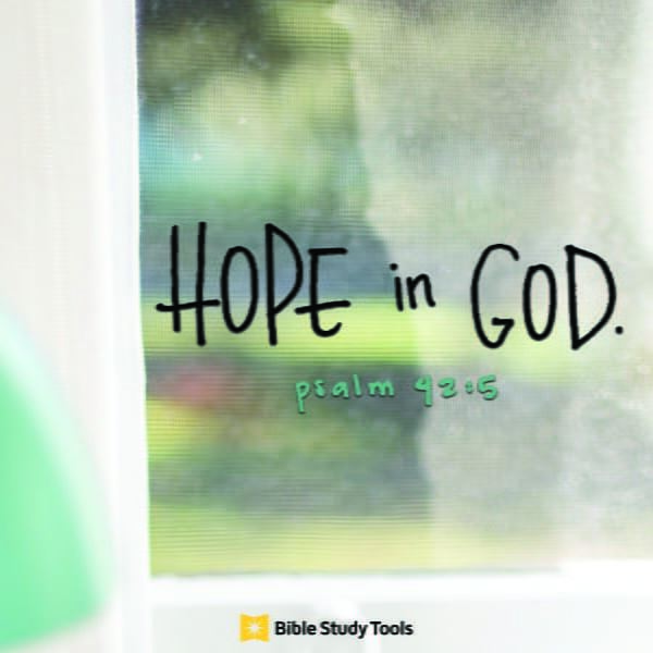 Your Daily Verse Psalm 42 5 Your Daily Verse Your Daily Verse Psalm 42 5 Your Daily Verse
