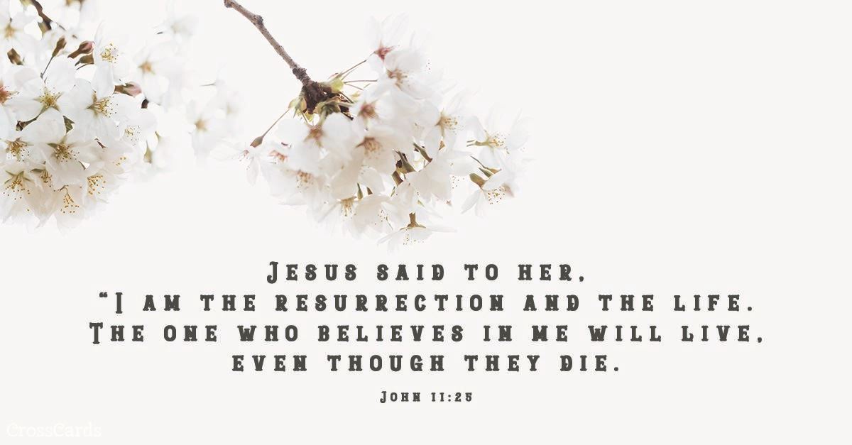 Your Daily Verse John 11 25 Your Daily Verse