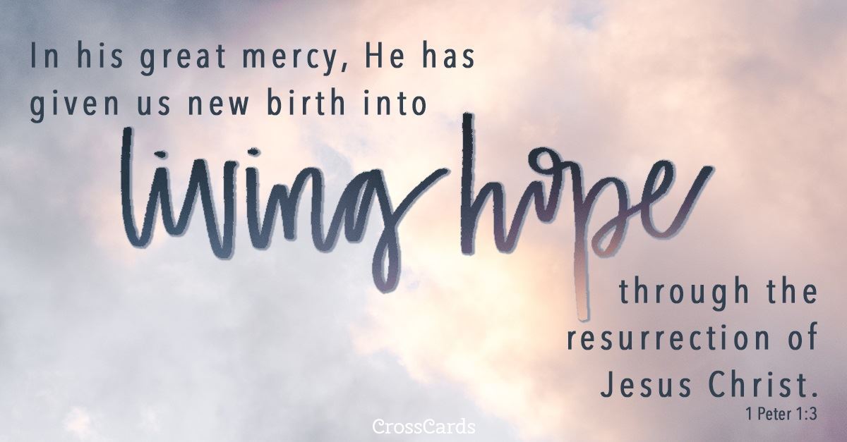 Your Daily Verse 1 Peter 1 3