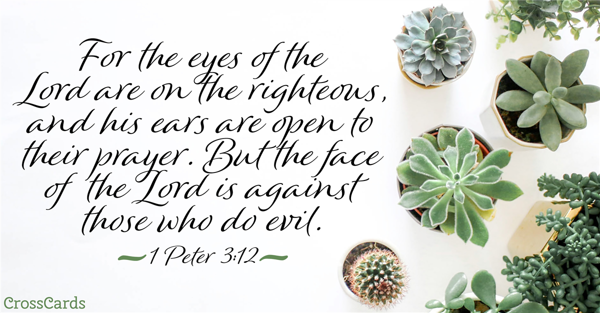 Your Daily Verse 1 Peter 3 12