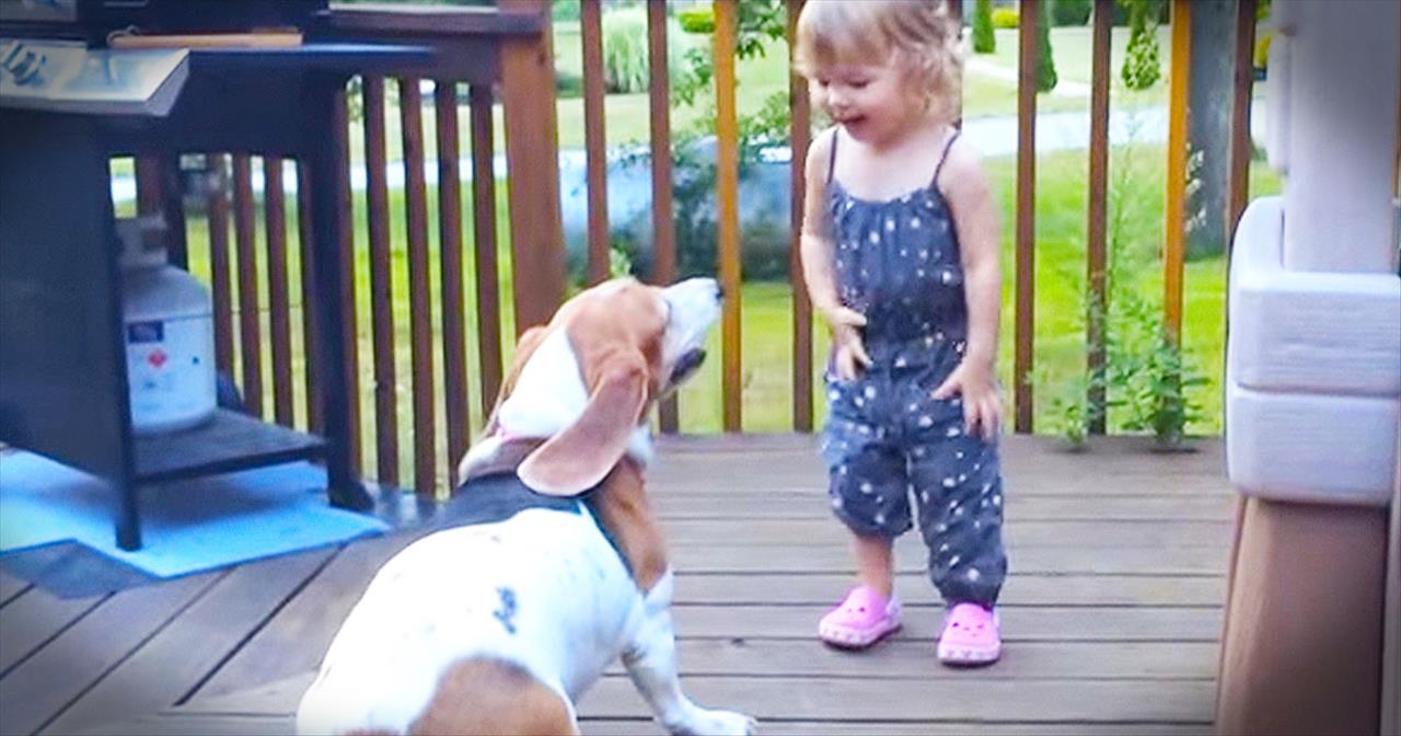 These 2 BFFs Are The CUTEST Dancing Partners Ever – And I’m Loving ...