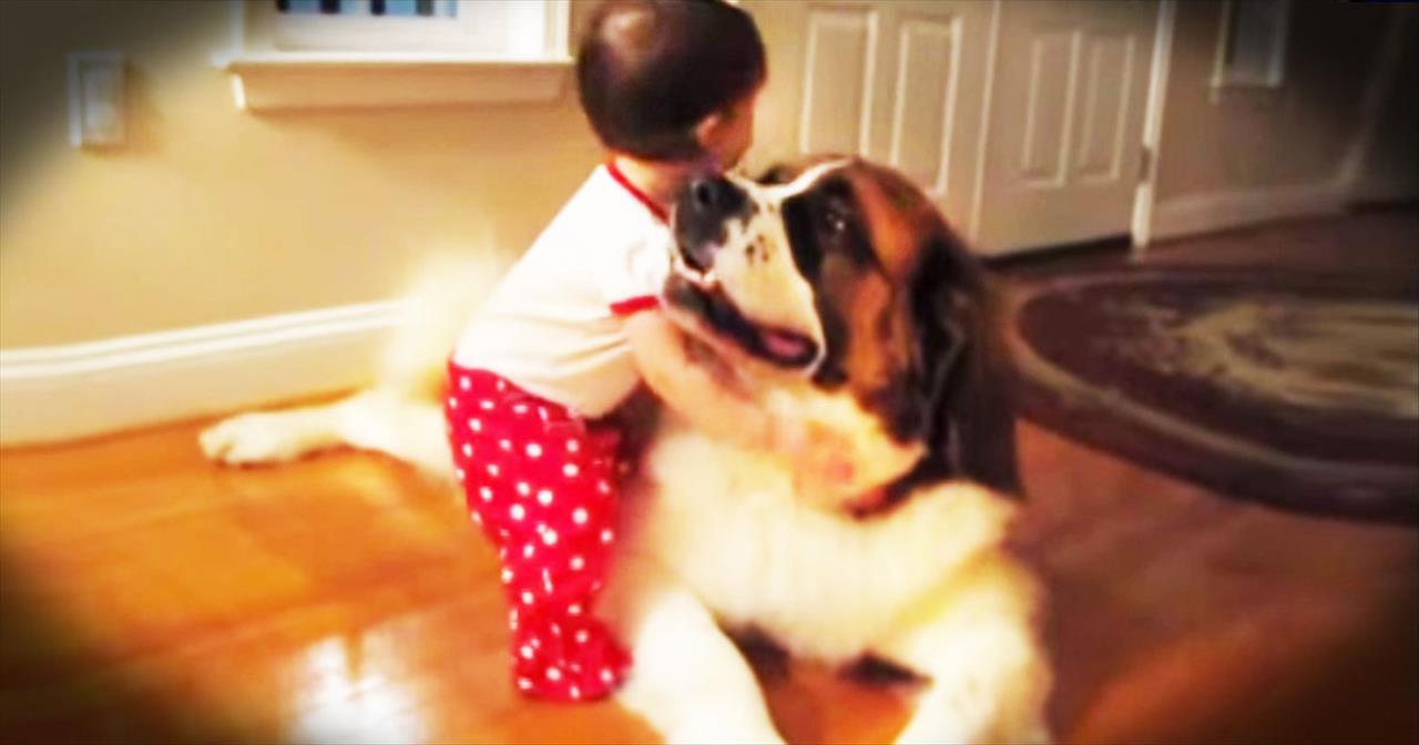 When This Precious Baby Hugs A Dog For The First Time, My Heart Fully ...