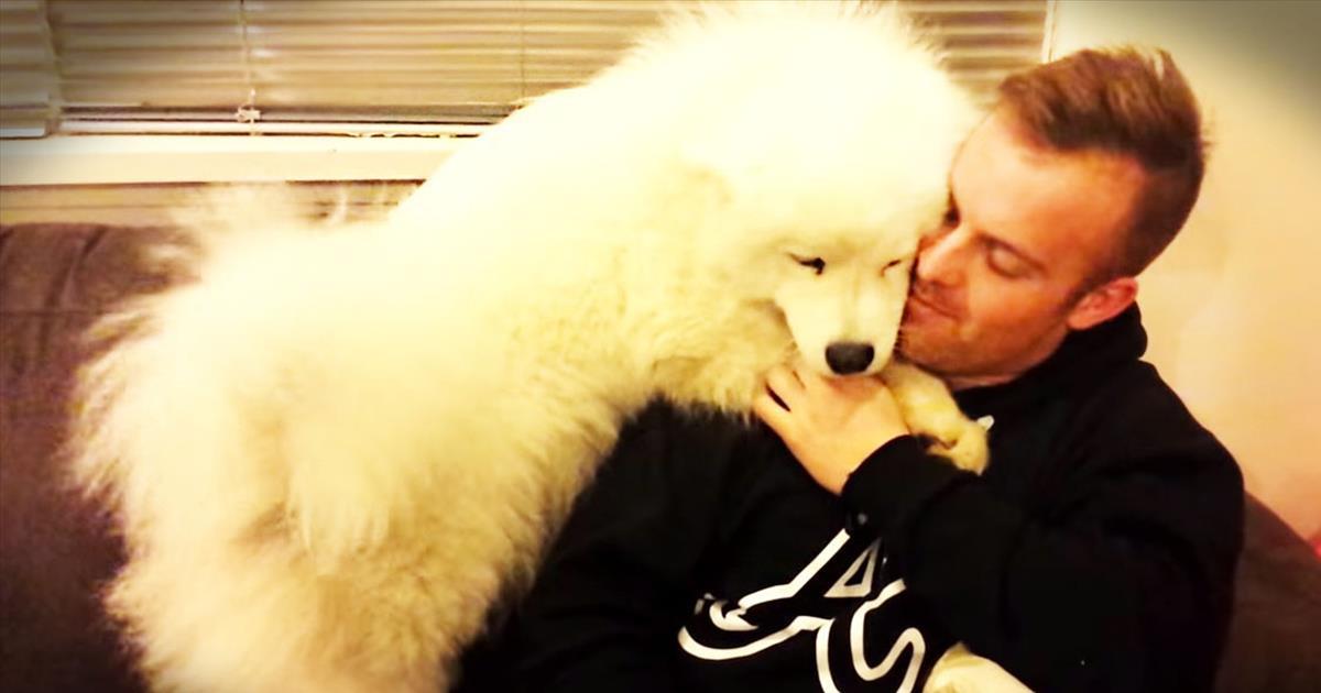 Fluffy Puppy Gives The CUTEST Hug - Cute Videos
