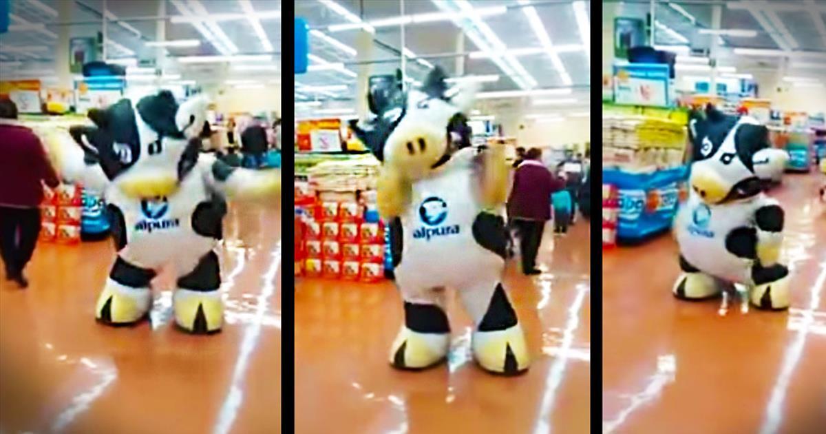 Dancing Cow Brings Tons Of Smiles To The Grocery Store - Comedy Videos