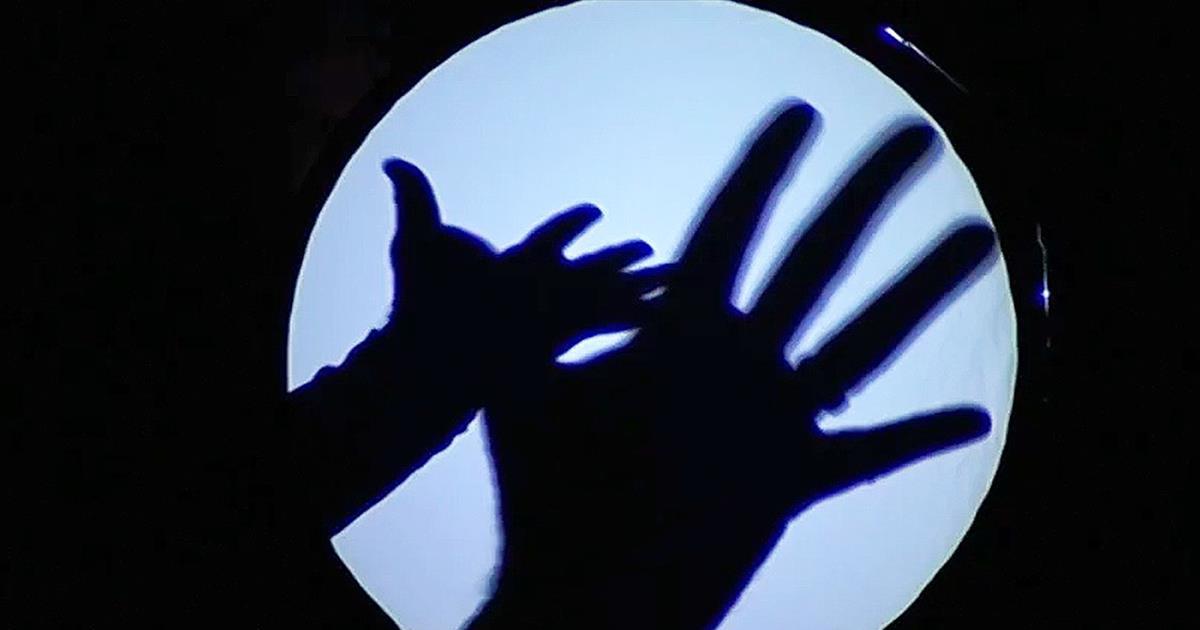 Amazing Hand Shadow Performance Will Have You Laughing For Days ...