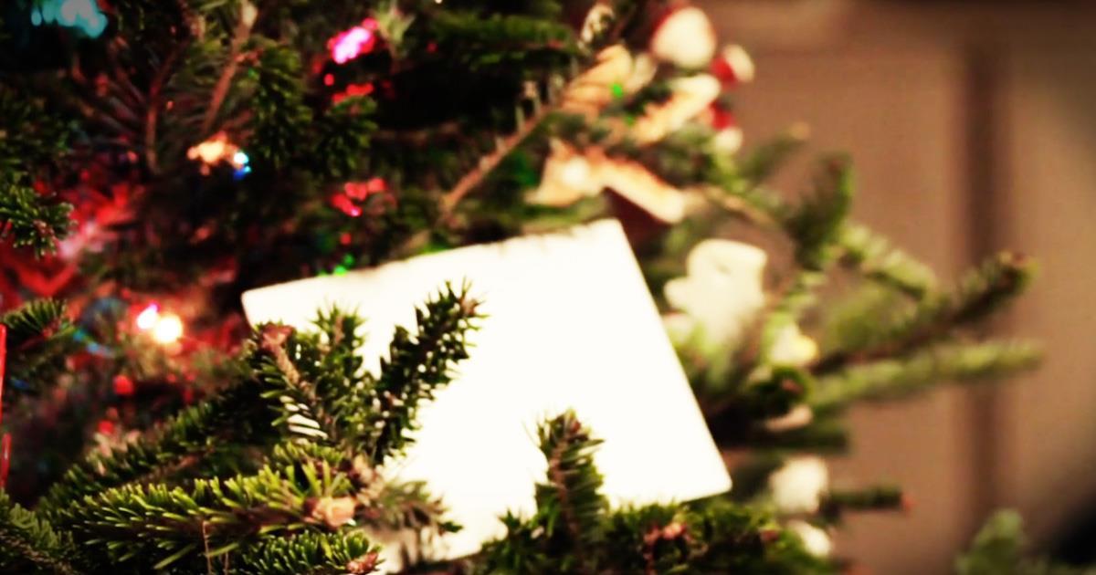 White Envelope On A Christmas Tree Changes A Man's Heart ...